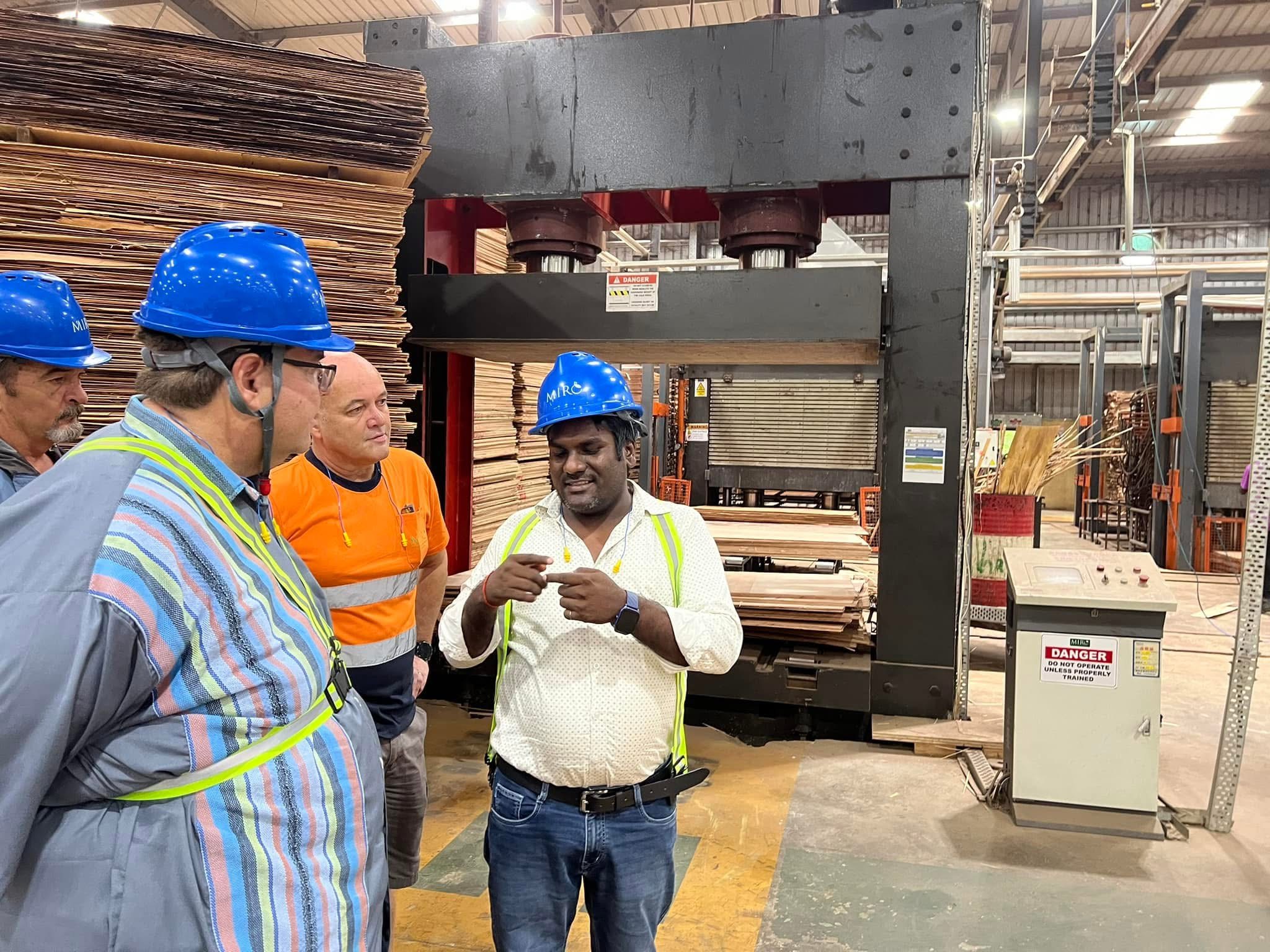 Sierra Leone’s Timber Industry Miro Receives $24 Million Support from ...